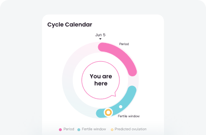 Femometer Smart Ring Gen2 Sizing Kit