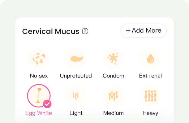 Femometer Smart Ring Gen2 Sizing Kit