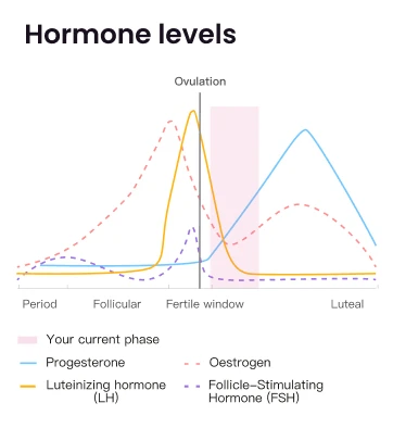 Femometer Smart Ring Gen 2, What's Upgraded from Gen 1?