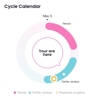 Femometer Smart Ring Gen 2, What's Upgraded from Gen 1?